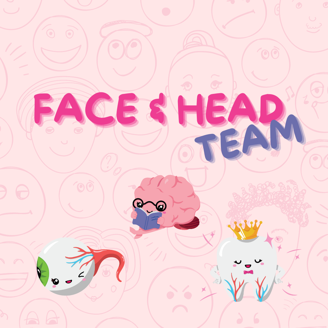Face & Head Team 👀🧠🦷 – Body Buddies Australia