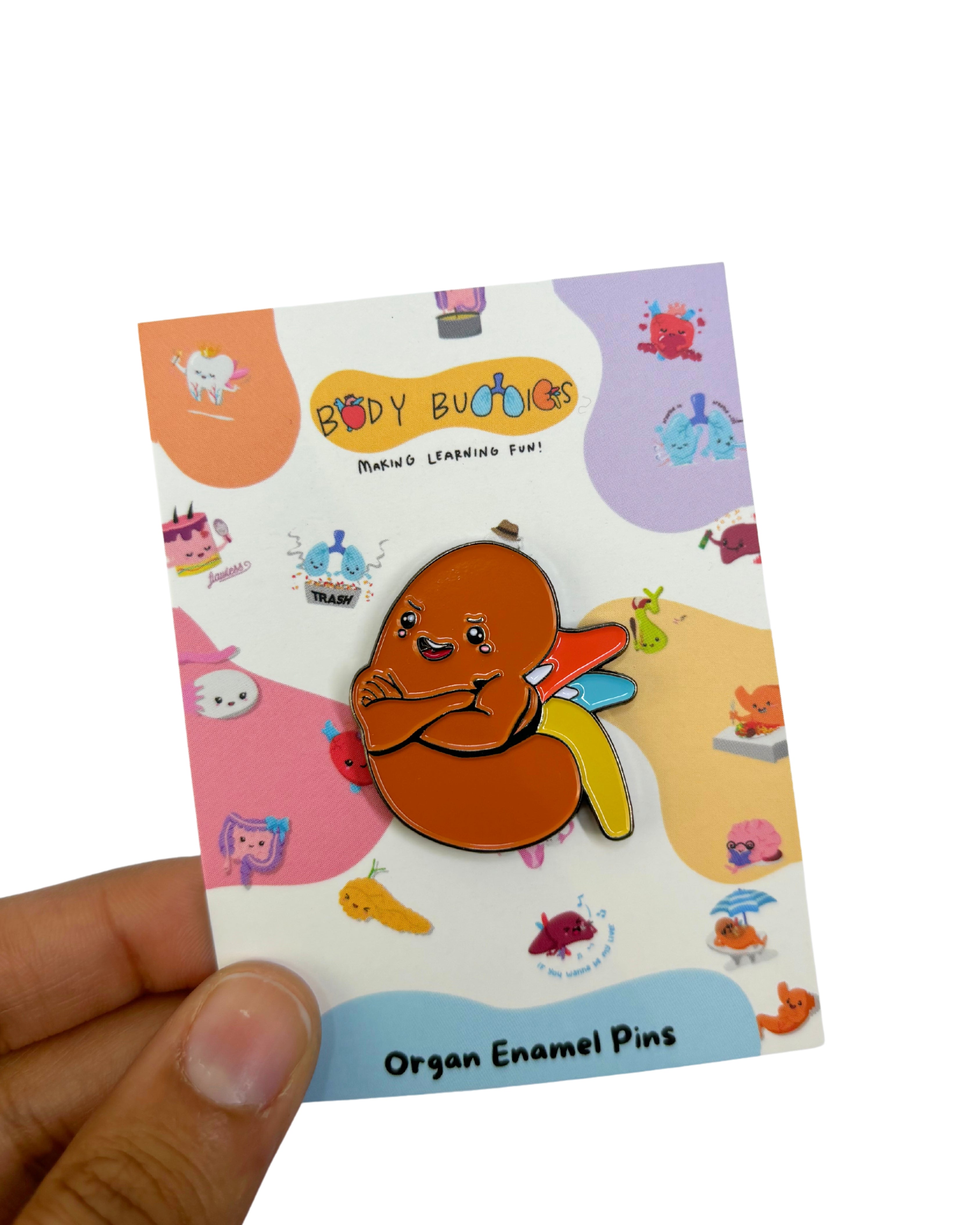 Glomerulo the Kidney Pin – Body Buddies