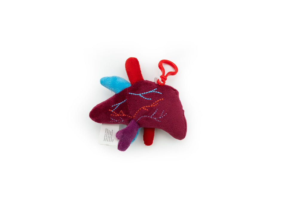 Oliver the Liver Keychain – Body Buddies Australia