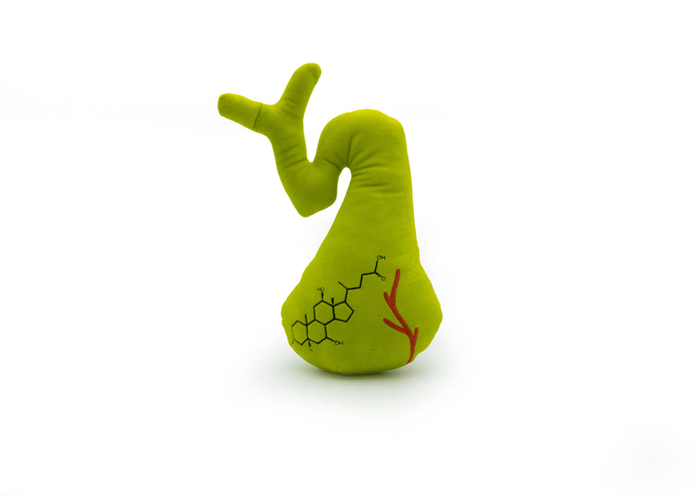 Biley the Gallbladder Plushie – Body Buddies Australia