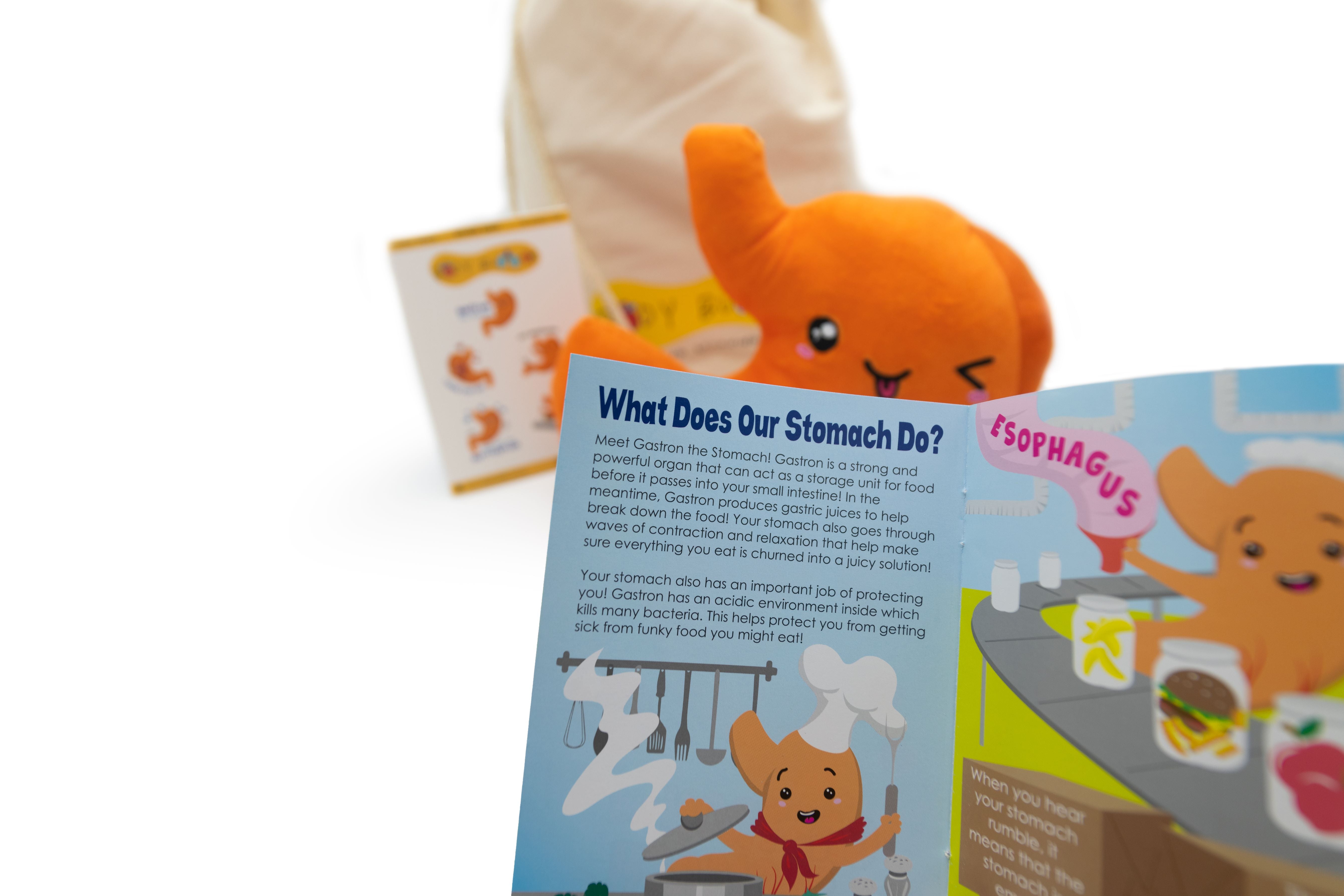 Gastron the Stomach Plushie – Body Buddies Australia