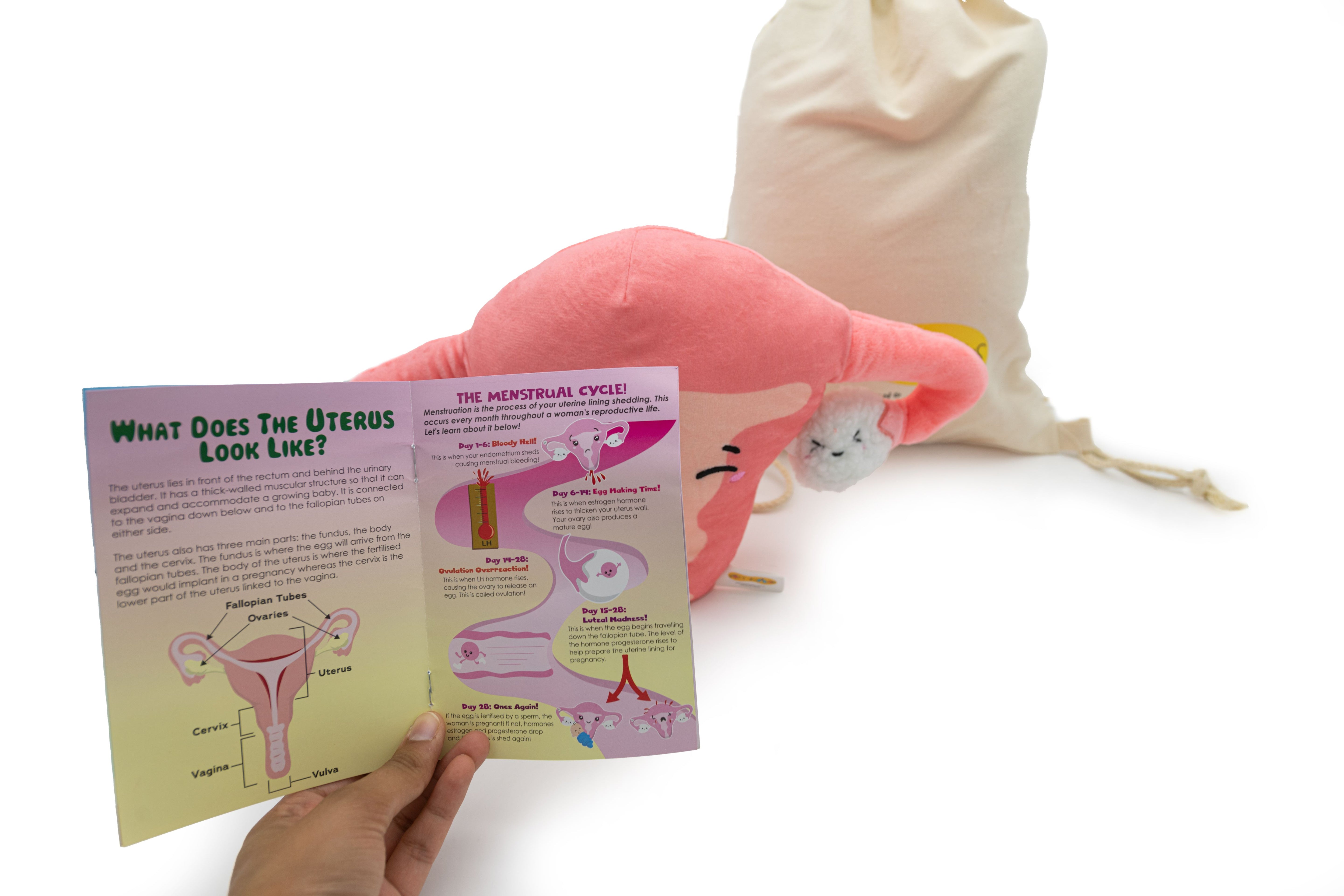 Uterina the Uterus Gift Pack – Body Buddies Australia