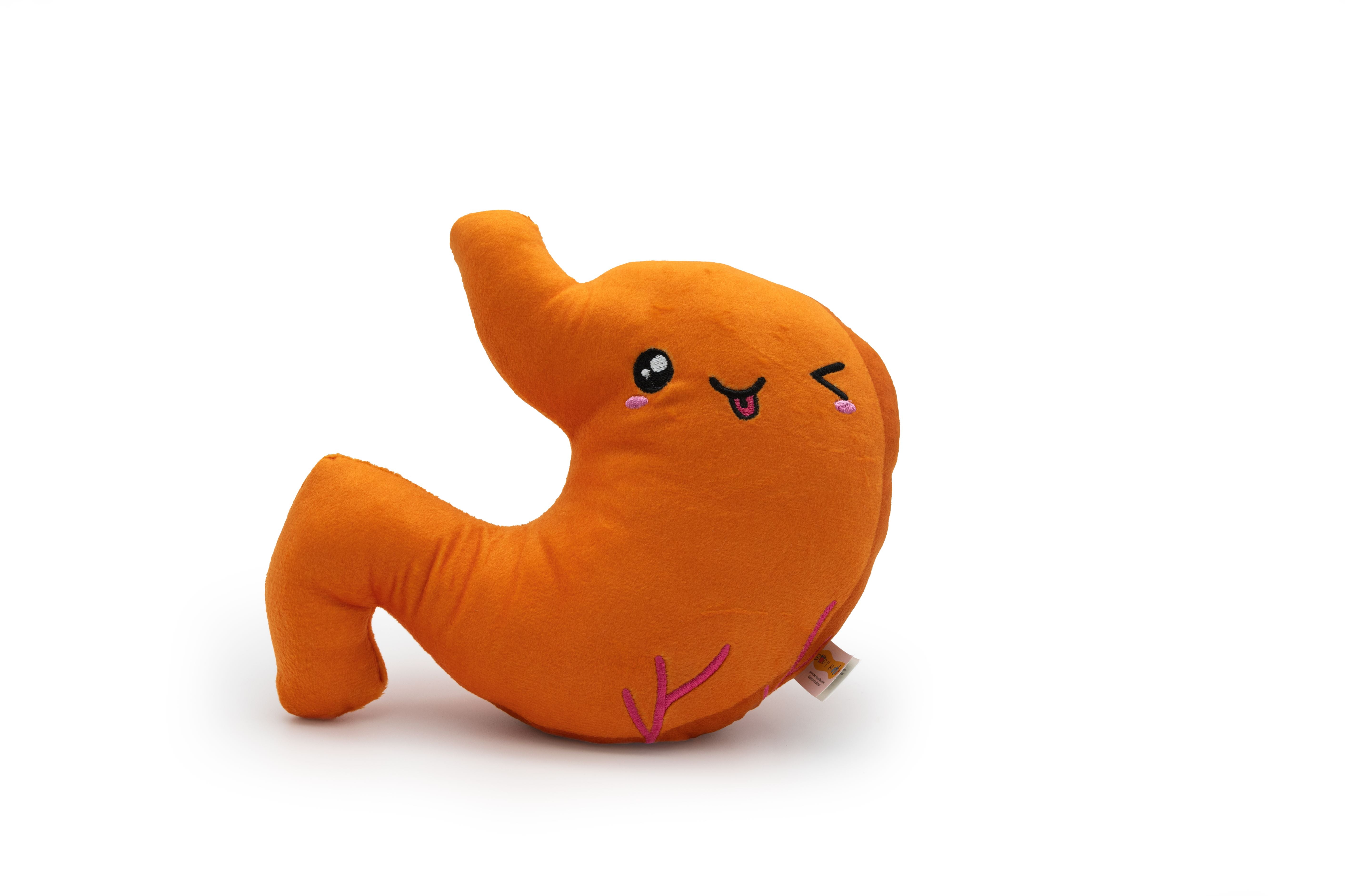 Gastron the Stomach Plushie – Body Buddies Australia