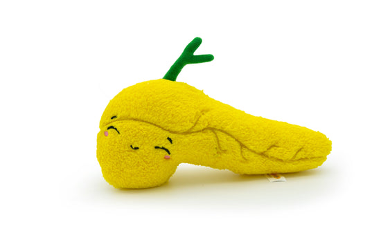 Insulina the Pancreas Plushie – Body Buddies Australia